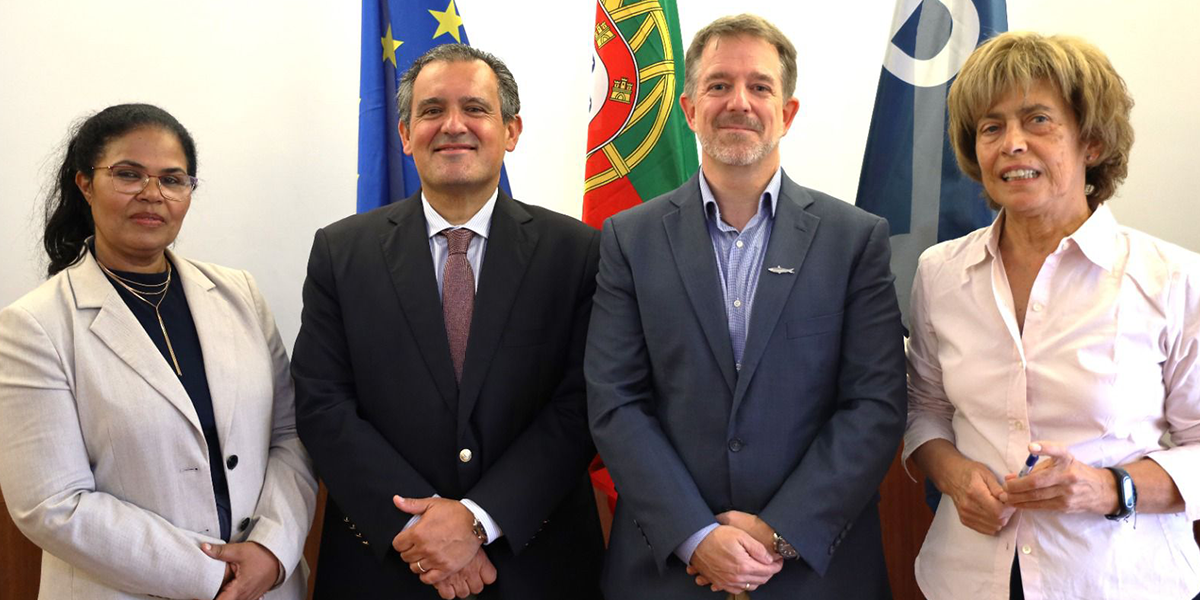 Página Inicial - DGRM
